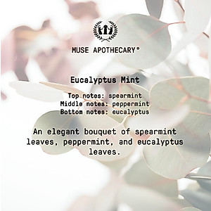 Muse Apothecary Yoga Ritual - Aromatic and Refreshing Yoga Mat Cleaner, 8 oz, Infused with Natural Essential Oils - Eucalyptus Mint, 2 Pack