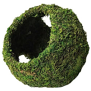 Galapagos 05344 Mossy Cave with Holes for Aquarium, 7.5", Green (759834053446)