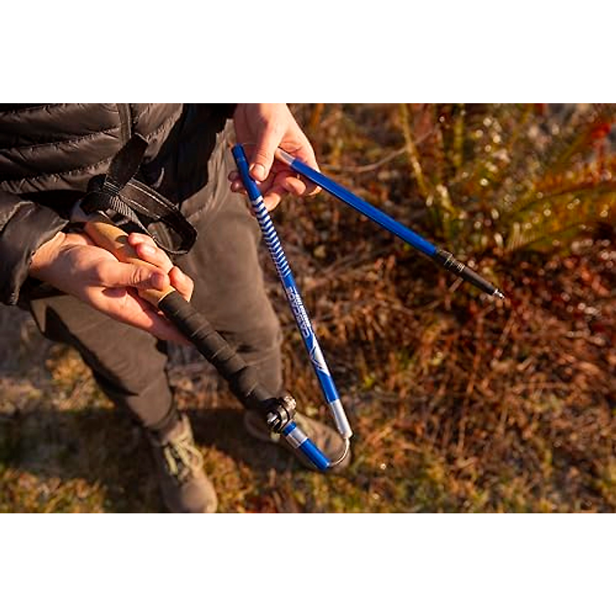 Cascade Mountain Tech Trekking Poles Blue Cork