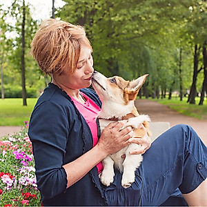 Blue Emu Vet Skin & Joint Soothing Cream - Deep Hydration & Joint Support for Your Furry Friends - 12 oz