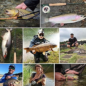 M MAXIMUMCATCH Maxcatch Extreme Graphite Fly Fishing Rod 4-Piece 9 Feet with IM7 Carbon Blank, Hard Chromed Guides, A Cork Grip（Size:3/4/5/6/8wt） (Extreme Rod, 9ft 7weight)