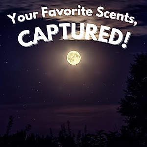 Ni-712 Neutron Industries -continuous Spray Warm Summer Night 12-oz