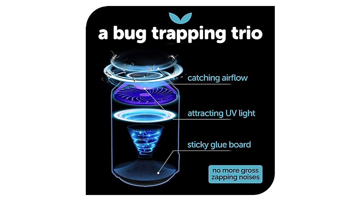 Katchy Midnight Indoor Insect Trap for Fruit Flies & Gnats