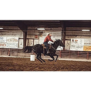 REDMOND Daily Gold Syringe Natural Healing Clay for Gastric Ulcers in Horses (Stress Relief Pre-Race Paste) (Single Pack)