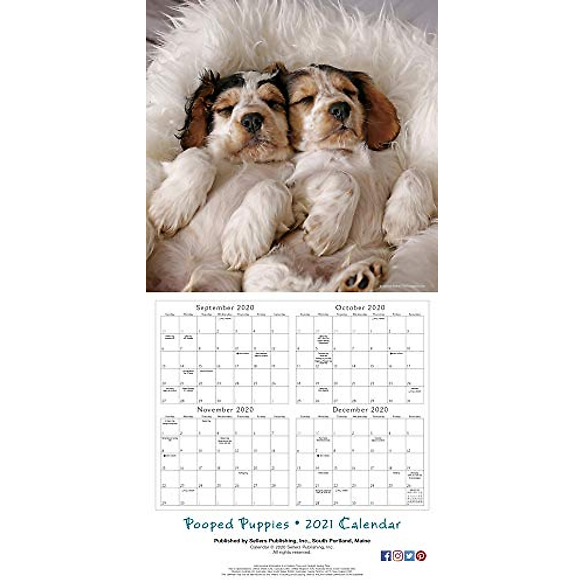 2021 Pooped Puppies 16-Month Wall Calendar