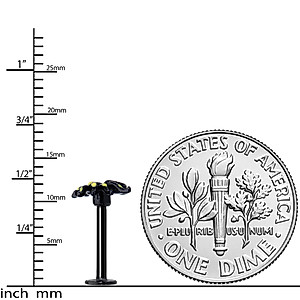 Body Candy Womens 16G Black Electroplated Steel Black Yellow Spider Labret Monroe Lip Ring Tragus 5/16”