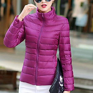 DASAYO Women Packable Puffer Jackets Stand Zip Up Warm Outdoor Coats Windproof Light Weight Classic Short Down Coats 2022