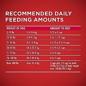 Purina ONE Small Bites Beef and Rice Formula Small Dog Food Dry - 8 lb. Bag