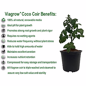 Viagrow VCCB650-3 Coco Coir, 3 Pack, Makes 2 Gallons / 7.5 Liters / 8 Quarts, 650g Brick