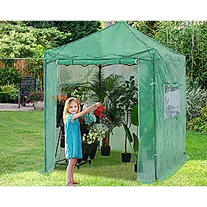 ABCCANOPY 8'x6' Pop Up Greenhouse Walk-in Garden Greenhouse for Indoor Outdoor Gardening with Roll-Up Door and Windows
