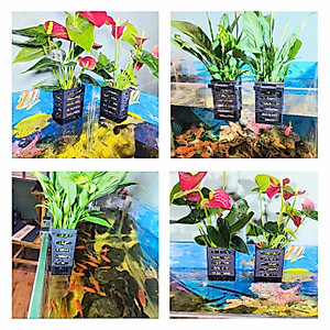 2 PCS Hanging Aquarium Planter Cups, Aquatic Plants Holder, Aquarium Planter Cup, Aquarium Decorations Plants Pot and Fish Tank Plants Pot for Live Aquarium Decor (Black-2 PCS)