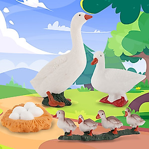 Life Cycle of Duck Figurines Animals Figurines Set Duck Toys Realistic Farm Animals Preschool Animals Figures Eduactional Project Diorama Model Toy for Kids
