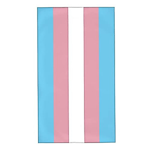 TSHIGO Transgender Pride Flag Towel 27.5x16 Inches Absorbent Hand Towel Superfine Fiber Bathroom Washcloth