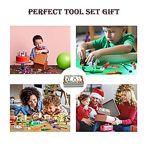 SIOYTOER Building Blocks Tool Kit Brick Separator Tools Compatible with Lego &Technic Mini Blocks Tool Set Multi-Functional Hammer Pliers Tweezers Finger Protectors with Tin Box (Pink)