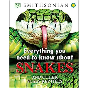 Everything You Need to Know About Snakes