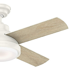 Casablanca Levitt Indoor Ceiling Fan with LED Light and Wall Control