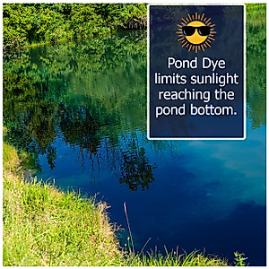 Natural Waterscapes Pond Dye - Midnight Blue Super Concentrate- 1 Quart Treats 1 Acre up to 6 Feet Deep, Dark Natural Looking Blue Pond Dye- Mix of Bright Blue Dye and Black Dye (1)