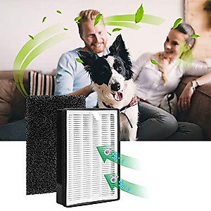 KEYJINIU H126 Replacement HEPA Filter, Compatible with Levoit LV-H126, Includes 2 HEPA Filters and 8 Activated Carbon Pre-Filters Set, LV-H126-RF