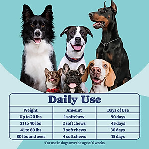 Probiotics for Dogs, Dog Probiotics and Digestive Enzymes, Pre & Probiotics Over 1 Billion CFUs, for Gut Health and Digestive Health, Yeast Balance, Itchy Skin Relief, Immune Support, 90 Soft Chews