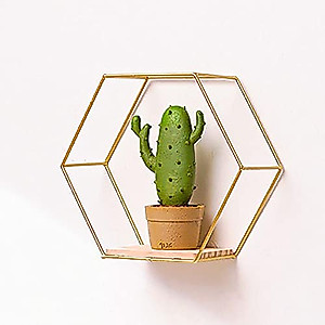 ＫＬＫＣＭＳ 3X Nordic Style Hexagon Honeycomb Floating Wall Shelf Display Iron Hanging Storage Rack Holder for Home/Office Bathroom Kitchen Room , Gloden