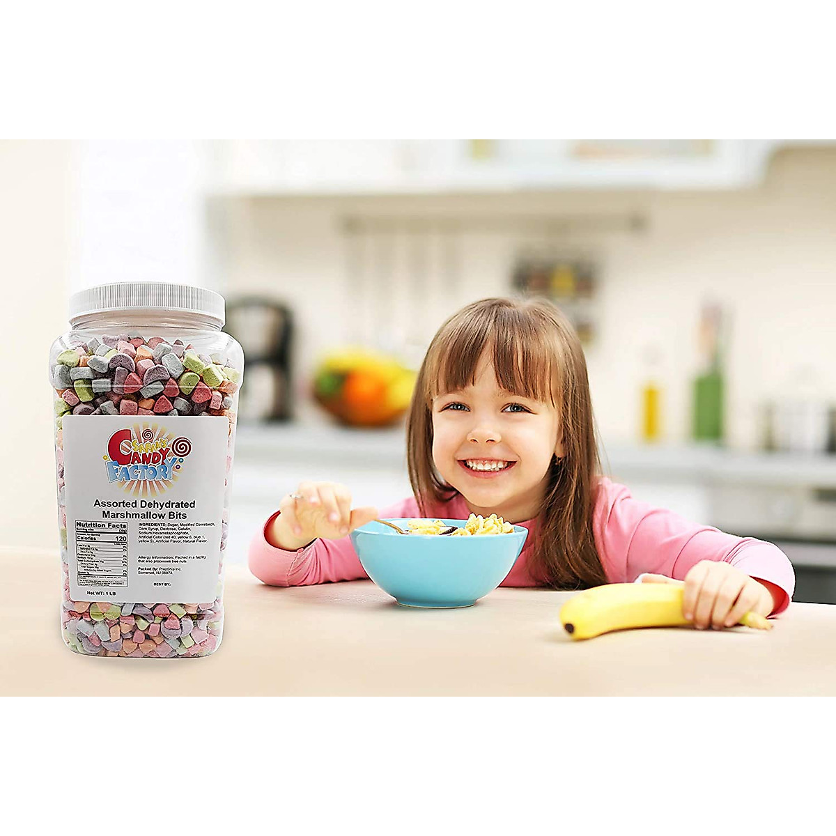 Sarah's Candy Factory Assorted Dehydrated Marshmallow Bits in Jar, 1lb PACK 1
