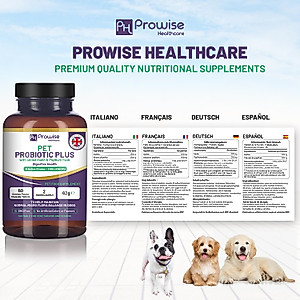 Pet Probiotic Plus with Added Inulin & Psyllium Husk 2 Billion CFU with 5 Active Strains I 60 Chicken Flavour Chewable Tablets 2 Months Supply I Help Main Normal Microflora Balance in Dogs