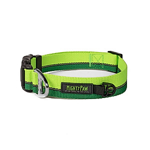 Mighty Paw Reflective Dog Collar | Premium High Visibility Collar with Reflective Stitching. Weatherproof, Heavy Duty Hardware, Stylish Colors and Design. Perfect for Small and Large Pets (Green)