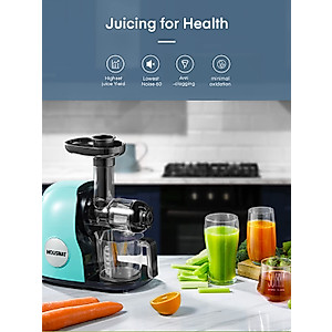 Juicer Machines, HOUSNAT Professional Celery Slow Masticating Juicer Extractor Easy to Clean, Cold Press Juicer with Quiet Motor and Reverse Function for Fruit & Vegetable, Brushes & Recipes Included