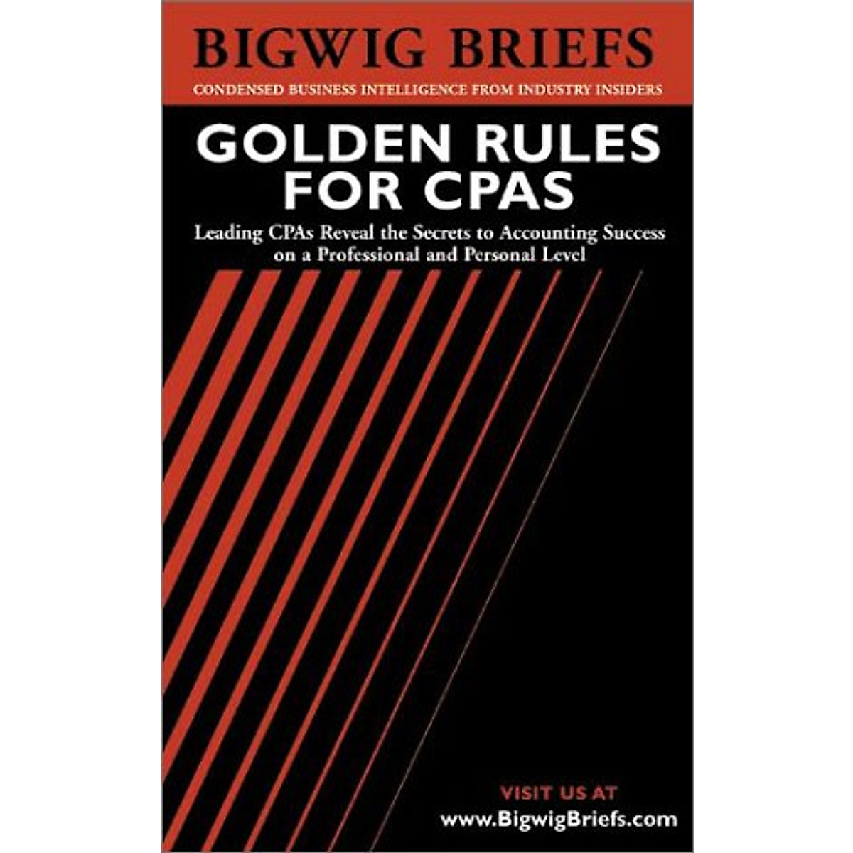 Accounting Idea Journal (Bigwig Briefs)