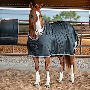 Classic Equine Classic Stable Sheet with Closed Front, Black, Large