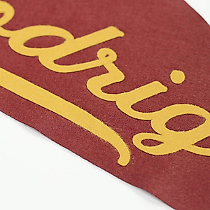 Lulu's Playhouse Custom Felt Name Pennant Flag - Personalized Banner Sign Wall Decor Kids Room Nursery