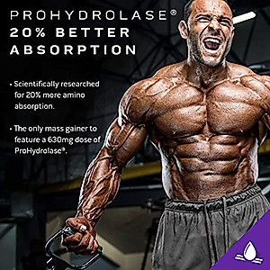 Weight Mass Gainer Protein Powder | MuscleTech Mass-Tech Elite Mass Gainer for Muscle Gain | Whey Protein Powder + Muscle Builder | Creatine Supplements | Vanilla Cake, 7 lbs