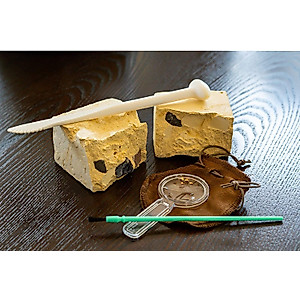 4M Kidzlabs Crystal Mining Kit, DIY Science Kit - Dig for gem Stones, For Boys & Girls Ages 5+