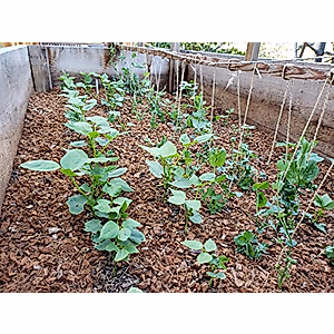 Compressed Coconut Husk Chips 9lbs - Expandable Substrate Block, Coco Coir Fiber Mulch, Reptile Bedding, Potting Soil Mix for Indoor & Outdoor Applications.