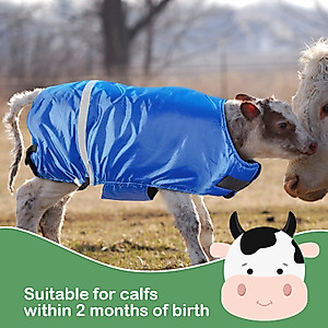 Dunzy 4 Pcs Winter Calf Blanket Calf Warm Clothes Waterproof Calf Warming Blanket Windproof Calf Jacket Livestock Calf Saver Coat for Keeping Cow Warm Thickened Belly Protection (Heavy Fleece Style)