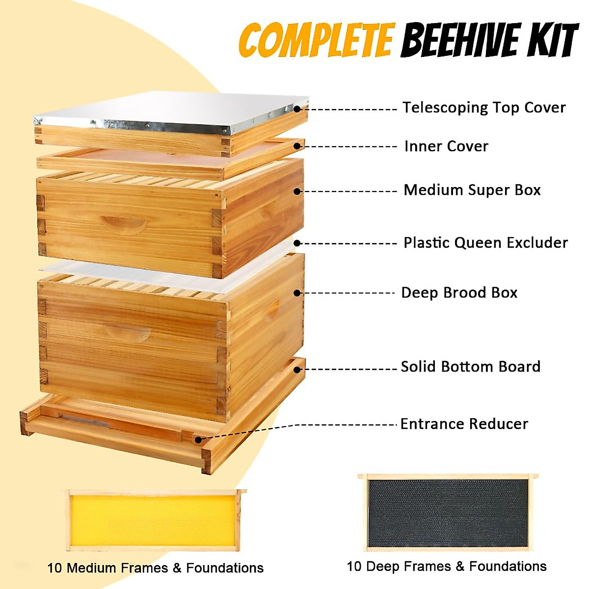 Honey Lake 10 Frame Bee Hive Starter Kit, Complete Beehive Kit for Beekeepers Dipped in 100% Beeswax Includes 1 Deep Brood Box & 1 Medium Super Bee Box with Beehive Frames and Waxed Foundation Sheet