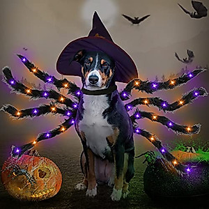Camlinbo 24 LED Spider Dog Dinosaur Halloween Costume for Small Medium Large Dogs, Furry Giant Spider with Orange Purple Lights Puppy Pet Costume Outfits Clothes Funny Halloween Costume Party Cosplay