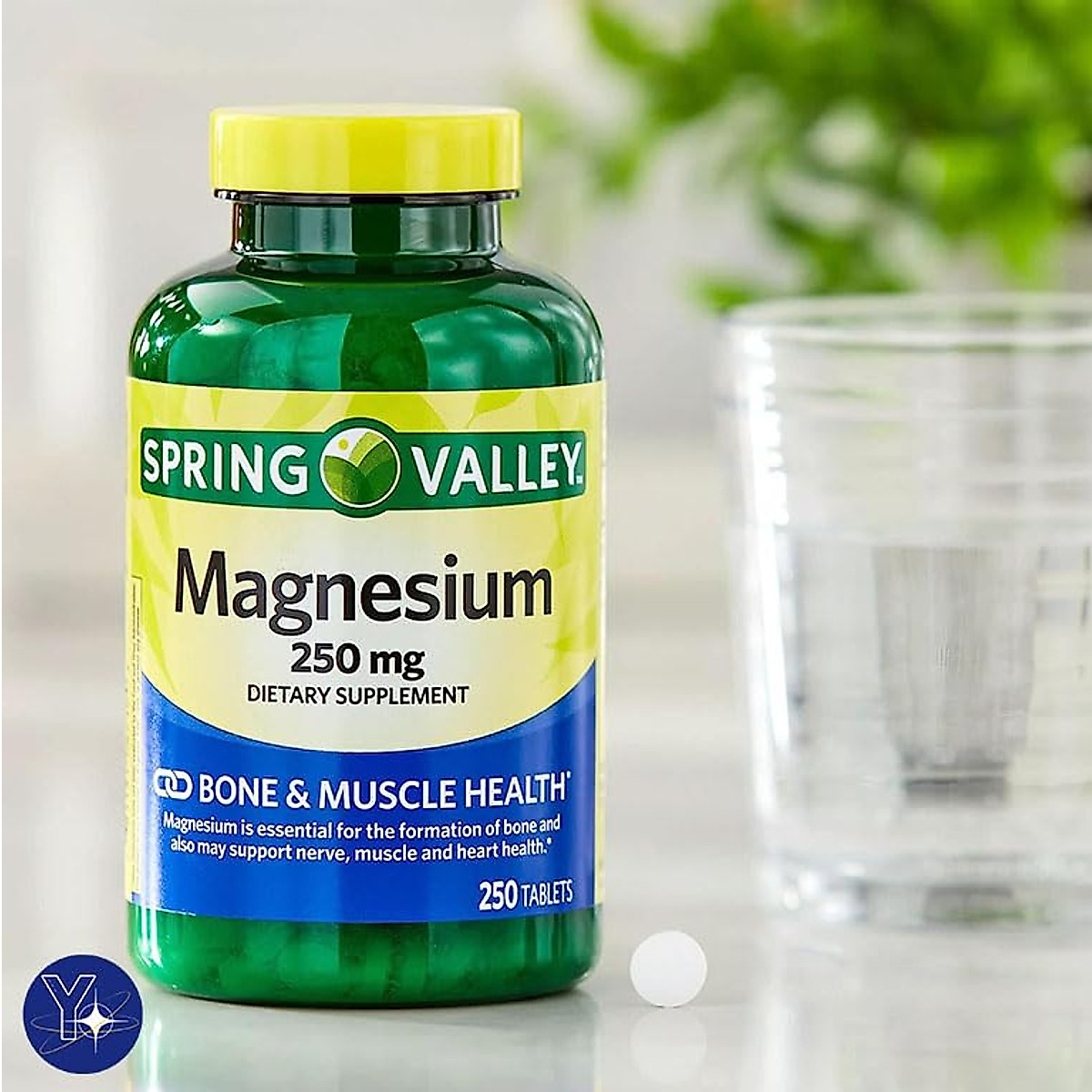 Magnesium Bone & Muscle Health Dietary Supplement Tablets Spring Valley, 250 mg, 250 Count