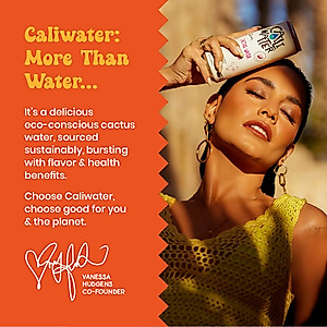 Caliwater - Organic Cactus Water - Ginger and Lime - 5g Sugar, 25 Calories - Coconut Water Alternative - Natural Plant Based Hydration - Skin Care, Electrolyte Drinks - Flavored Water - 12 Cans