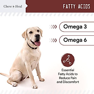 Chew + Heal Joint Support Dog Supplement, Count of 120