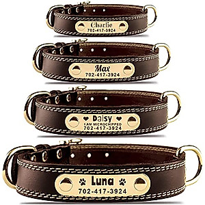 Personalized Dog Collar - Custom Leather Dog Collar with Engravable Nameplate - Durable Name Tag Collar - Customizable Dog Collar - Comfortable ID Collars for Small, Medium, Large Dogs (Small)