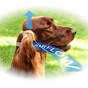 Dog Harness for Ear Care 3-Pack: Fits All Dogs with Long, Floppy Ears