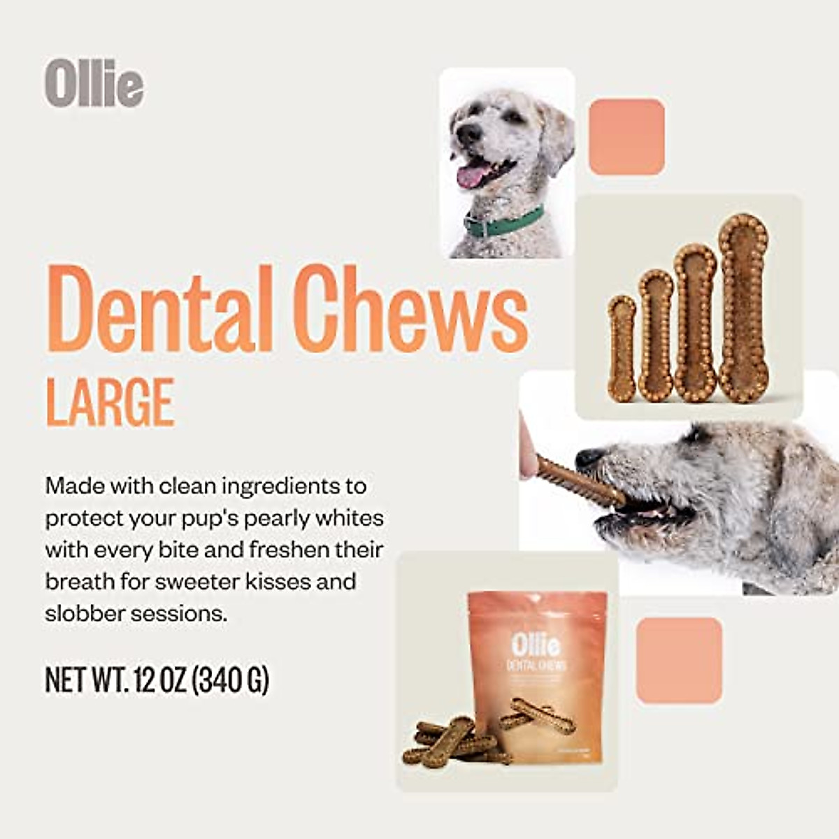 Ollie Dental Chews for Dogs Large- Dog Breath Treats - Dog Teeth Cleaning Treat - Dental Sticks for Dogs - Fresh Breath for Dogs - Dog Dental Chews - Dog Dental Care - 12 Oz.