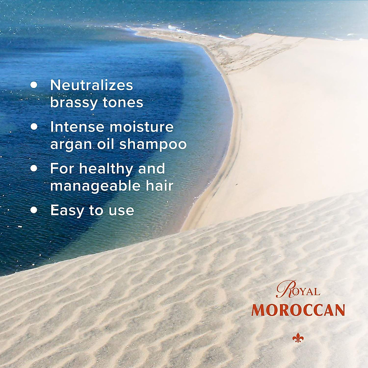 Royal Moroccan BEST SILVER SHAMPOO 300 ml /10.05 fl.oz | Purple Shampoo for Blond Hair & Grey Hair|Lights Shampoo for Blond & Silver Hair |Anti-Yellow Shampoo | Paraben-Free Argan Oil Hair Products