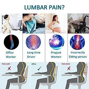 QUTOOL Lumbar Support Pillow&Gel Seat Cushion