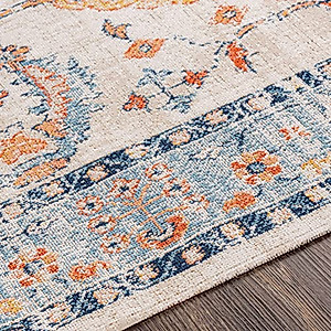 Hauteloom Shafter Living Room, Bedroom Patio Outdoor Area Rug - Beige, Blue, Red - 7'10" x 10'