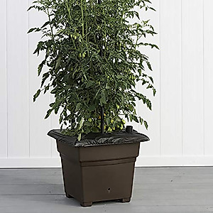 EarthBox 81753.01 Root & Veg Garden Kit, Organic Planter, Chocolate