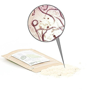 BioLogic Scanmask Steinernema Feltiae (Sf) Beneficial Nematodes for Natural Insect Pest Control, 5 Million Size