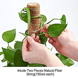 joyhalo Moss Pole- 15.7 Inch Moss Stick for Potted Plants, 4 Pcs Plant Support for Climbing Plants Monstera, Coir Totem Pole