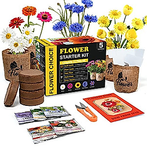Indoor Daisy Garden Starter Kit, 5 Non-GMO Flower Seeds Planting Set with Gardening Tool Set - Jute Bags, Markers, Soil Disks and Shears, Home Gardening Gifts for Women Men Flower Plant Lovers